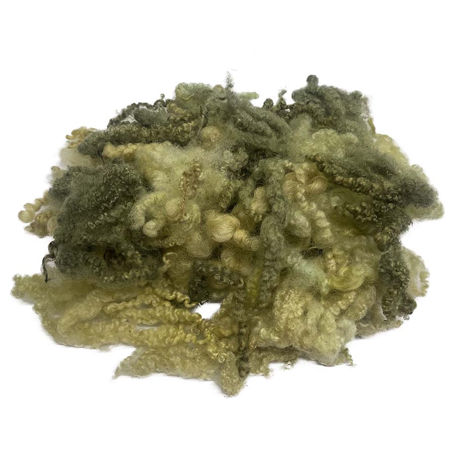 Bluefaced Leicester Wool Locks (57) Fleece Green 14 g – The Felt Box